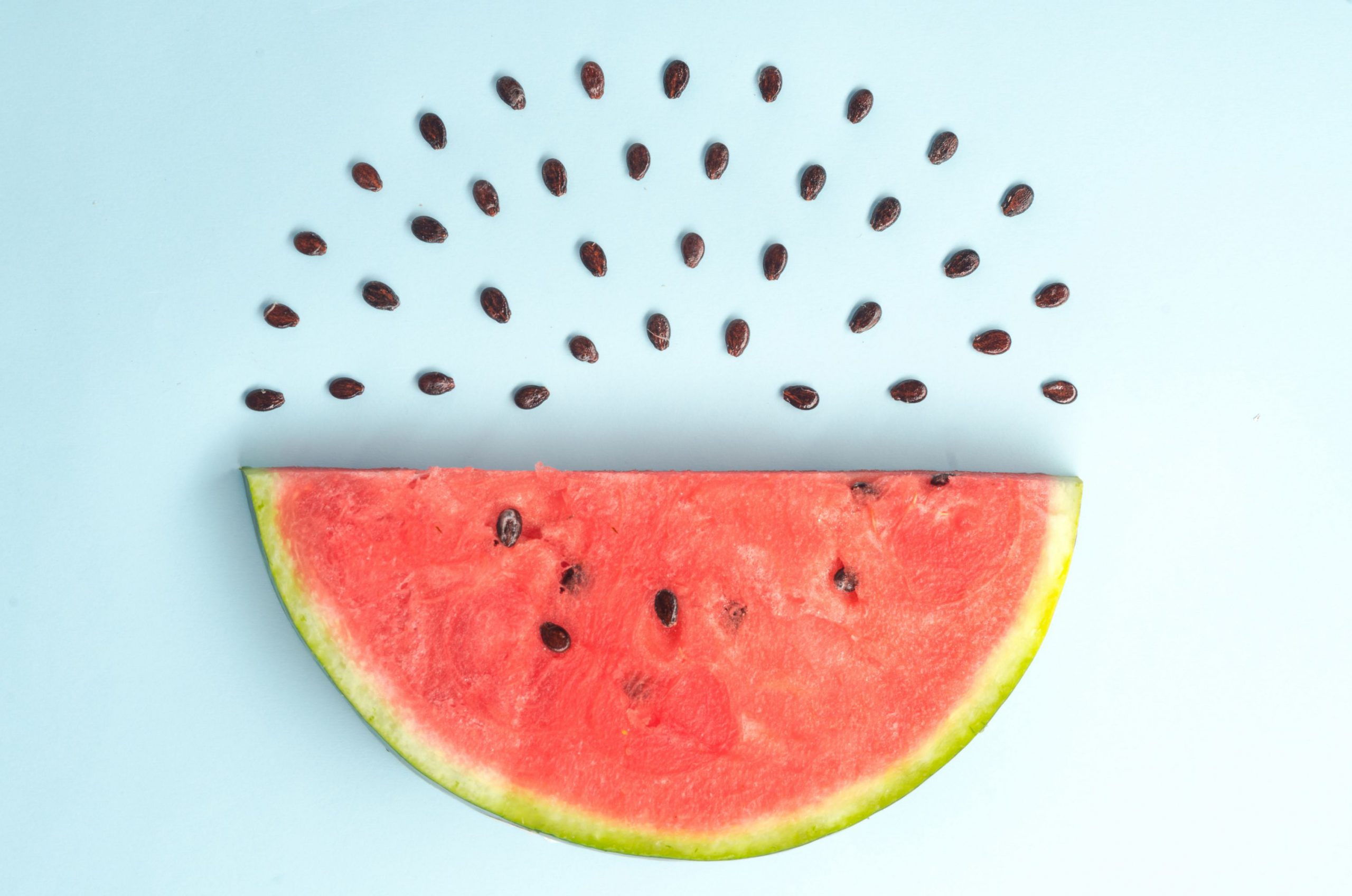 Harvesting Watermelon Seeds For Later Use Tralum